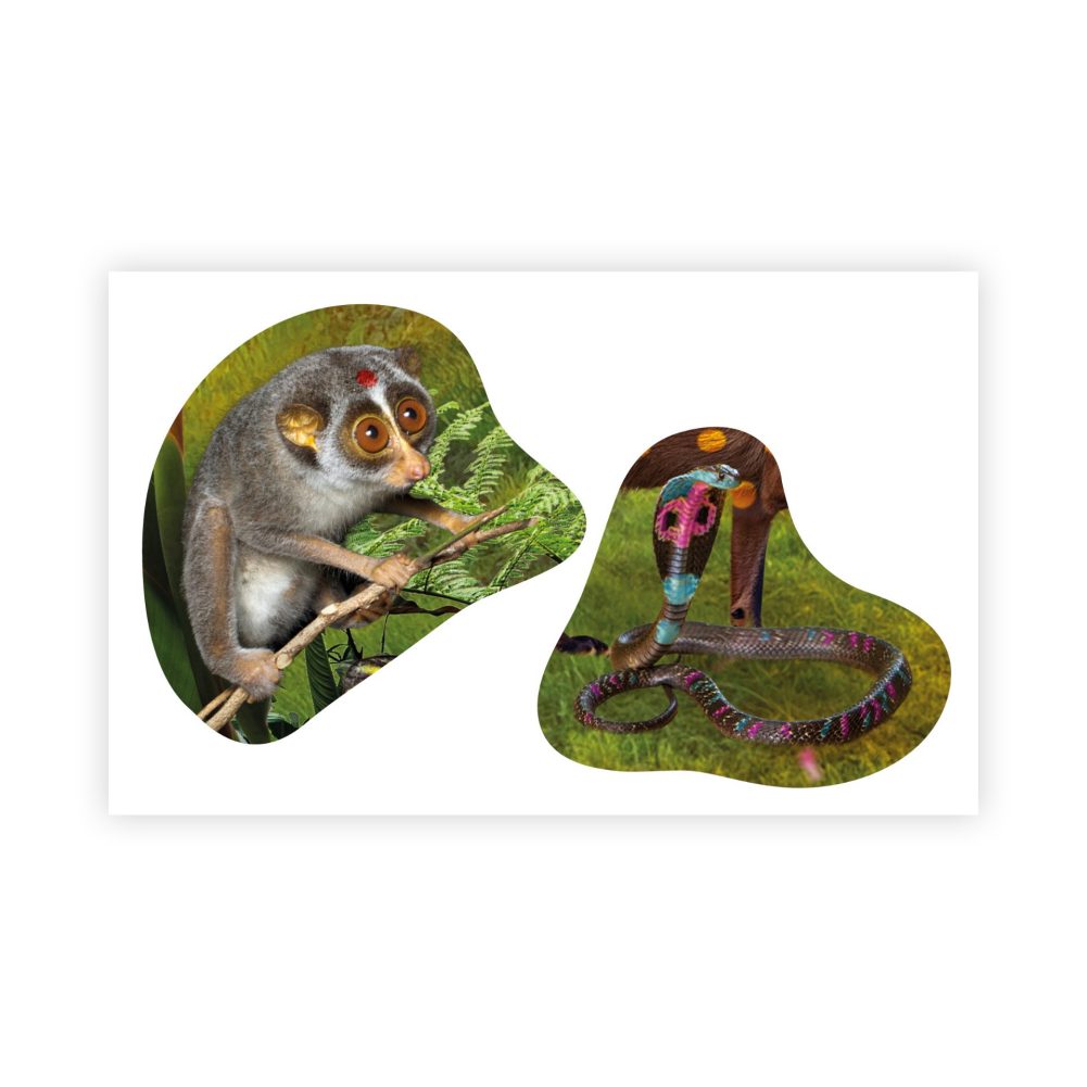 Stickermania 197 Parade der Vielfalt C / D 2025 1 Stk. online kaufen ...